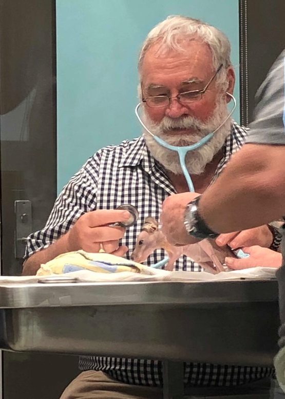 BrisScience - Faculty of Science - University of Queensland